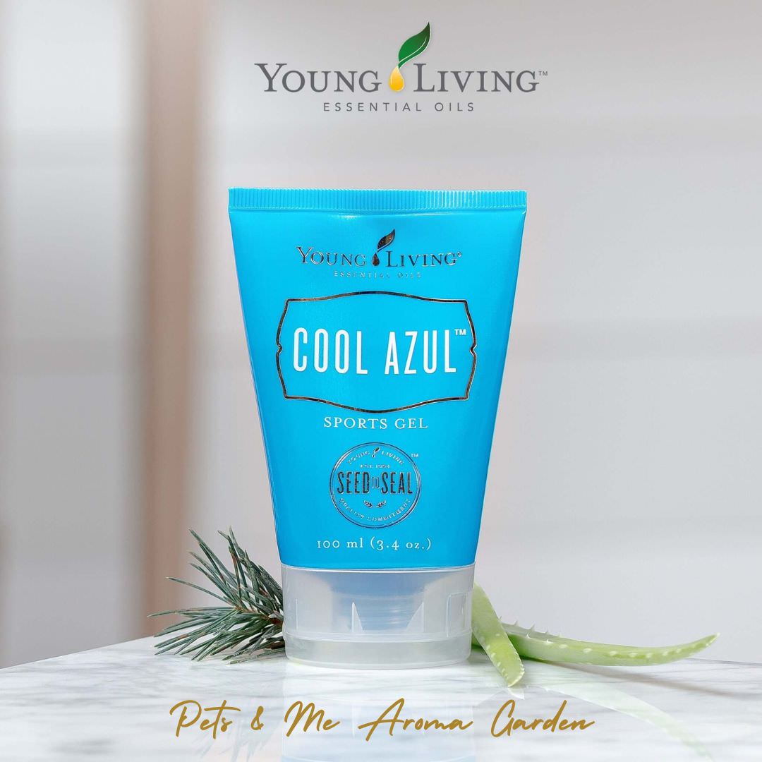 Cool Azul Sports Gel 酷舒按摩凝膠(美單) – 2腳4腳香氛花園
